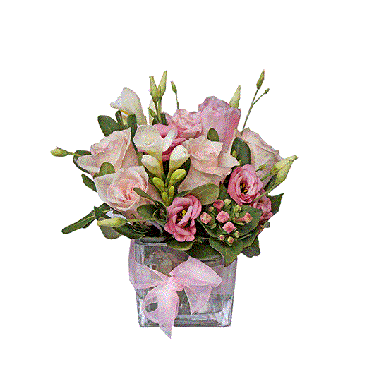 Kako osvojiti Ribe - Beograd Србија – Teleflora