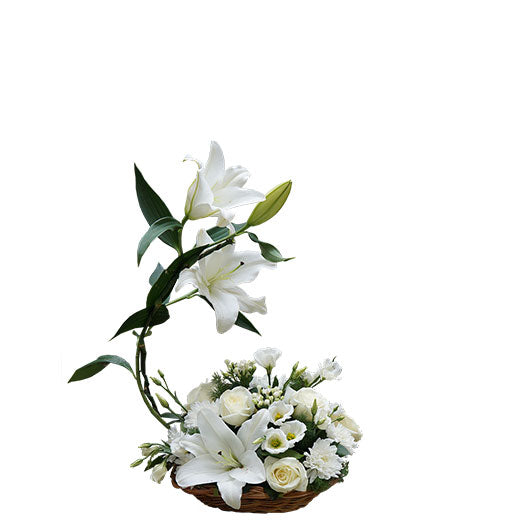 Teleflora Beograd cveće - online cvećara - isporuka cveća